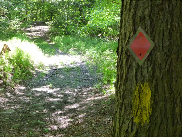 Gone Hikin': Ricketts Glen State Park, PA - Falls Trail, Cherry Run ...