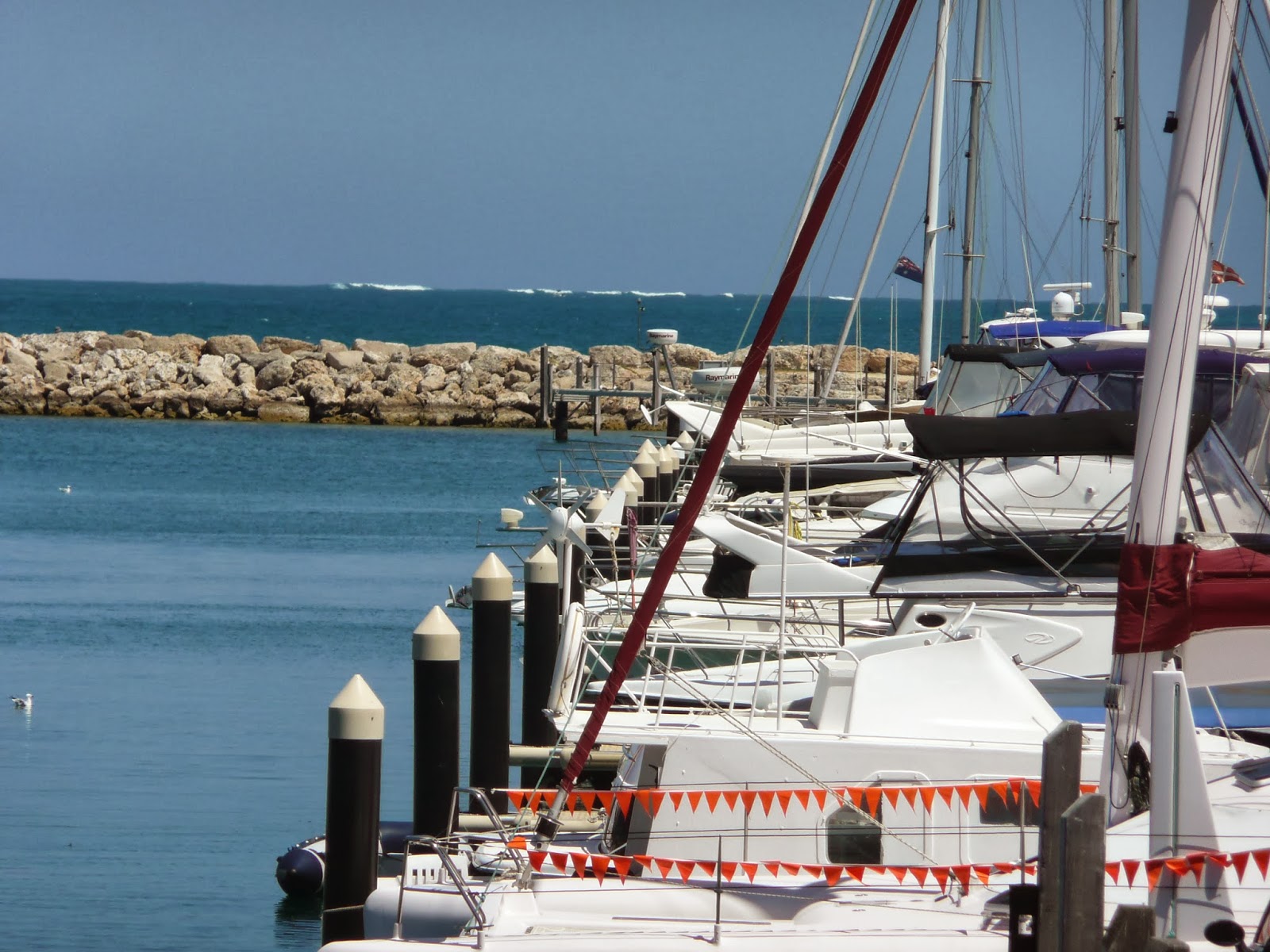 MobileMarshies: PERTH 3 - QUINNS ROCKS AND MINDARIE (JANUARY 2014)