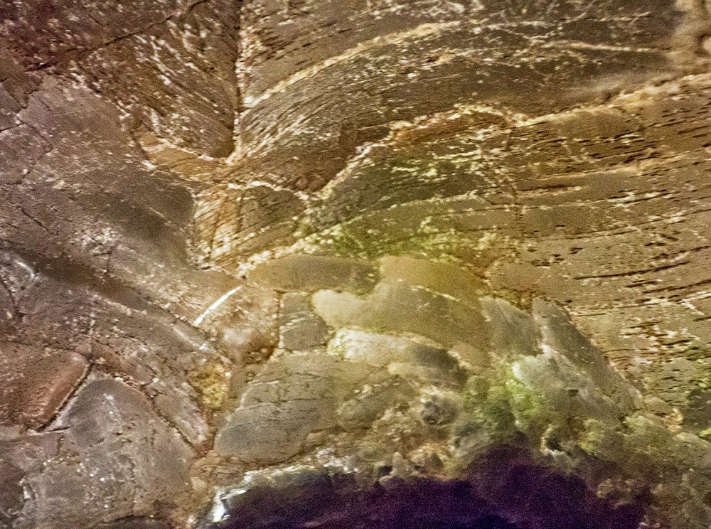 Merikay's Dream : Alabaster Caverns Oklahoma State Park