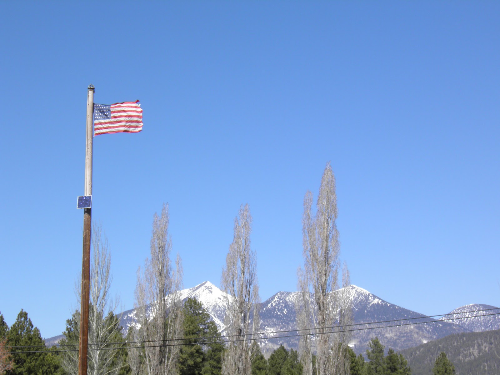 walking flagstaff: spring is coming