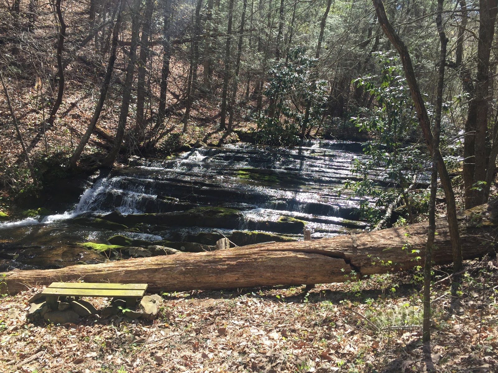 Wandering Virginia: Sprouts Run/Wilson Mountain Loop: Jefferson ...