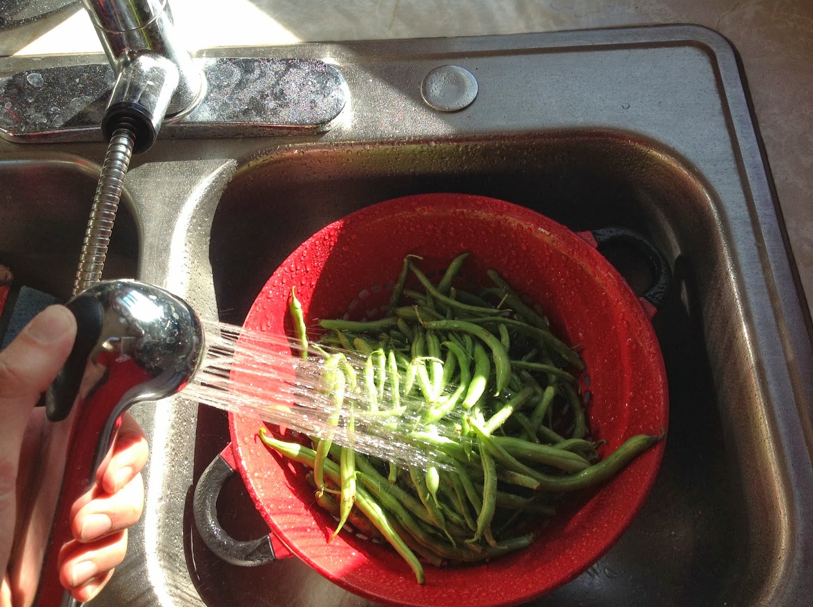 Life on the Farm-the Good Life