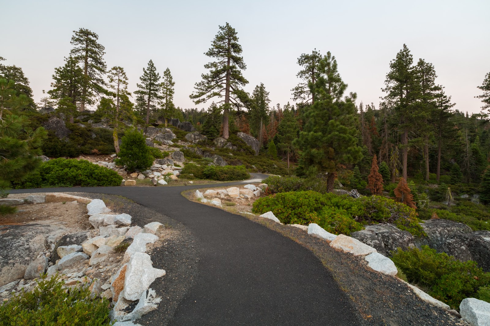 Naturetastic Blog: Sunset (Part 6) - Stanislaus/Humboldt-Toiyabe ...