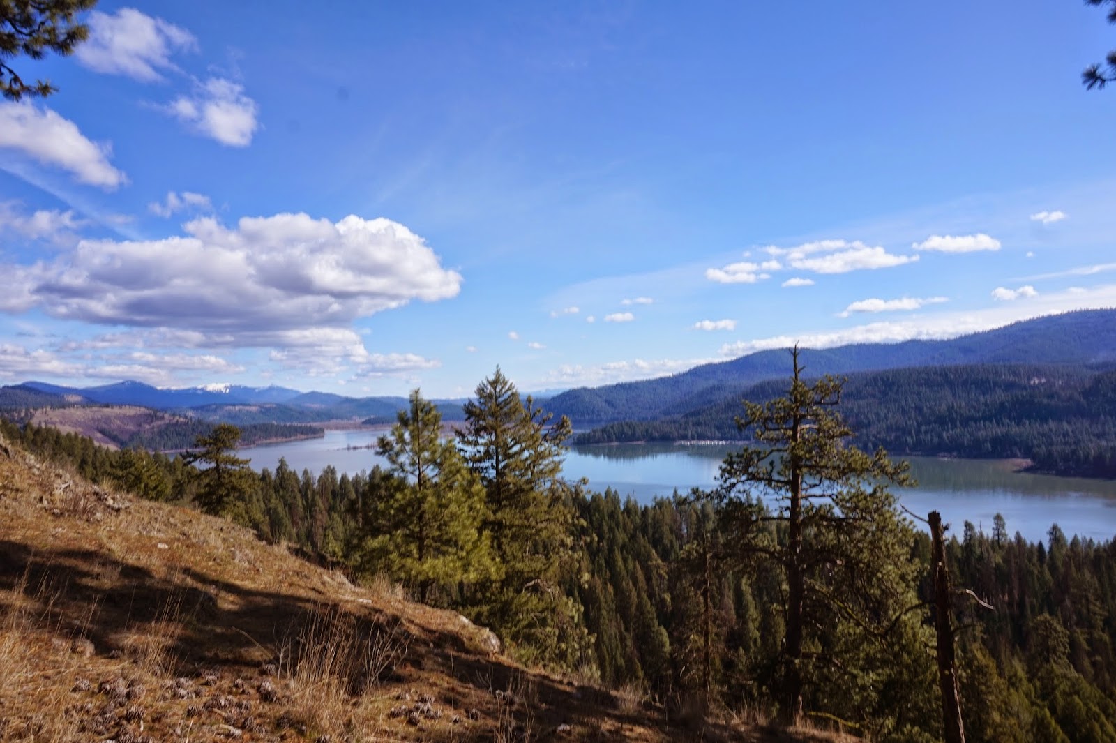 Treehouse Trails: The Wondrous Beauty of Idaho