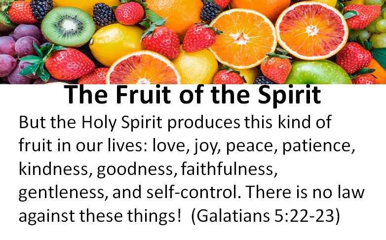 Pastor Chris' Blog: The Fruit of the Spirit - Goodness