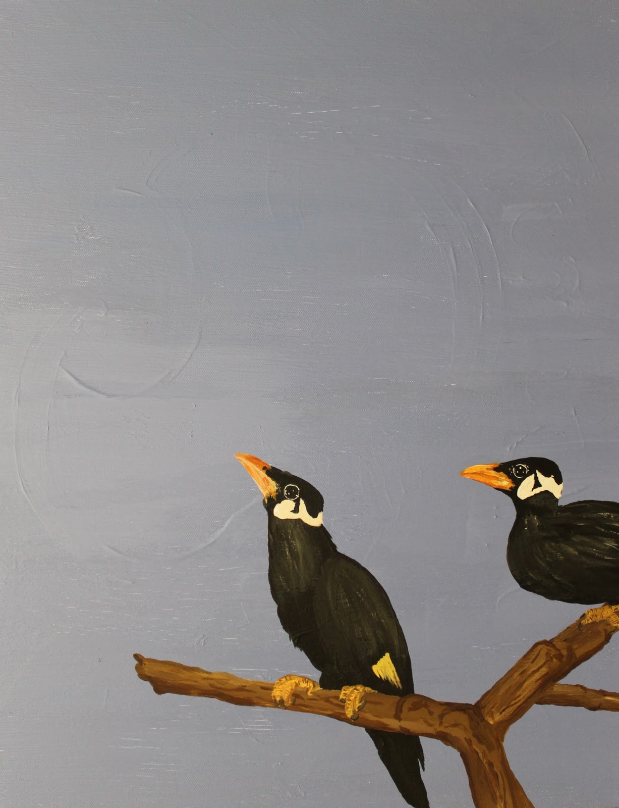 arcane details: bird paintings