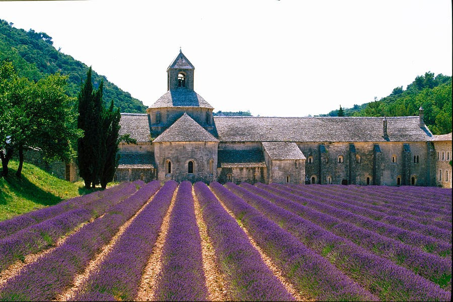 The Provence Post: A Luberon Tour for Foodies (By Bike or Car) The Provence Post: A Luberon Tour for Foodies (By Bike or Car)