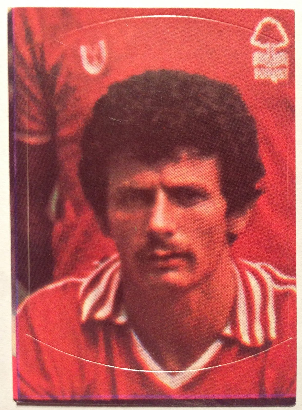 NFFC Cards & Stickers: AVA Americana Football Special 1977/1978 Terry ...