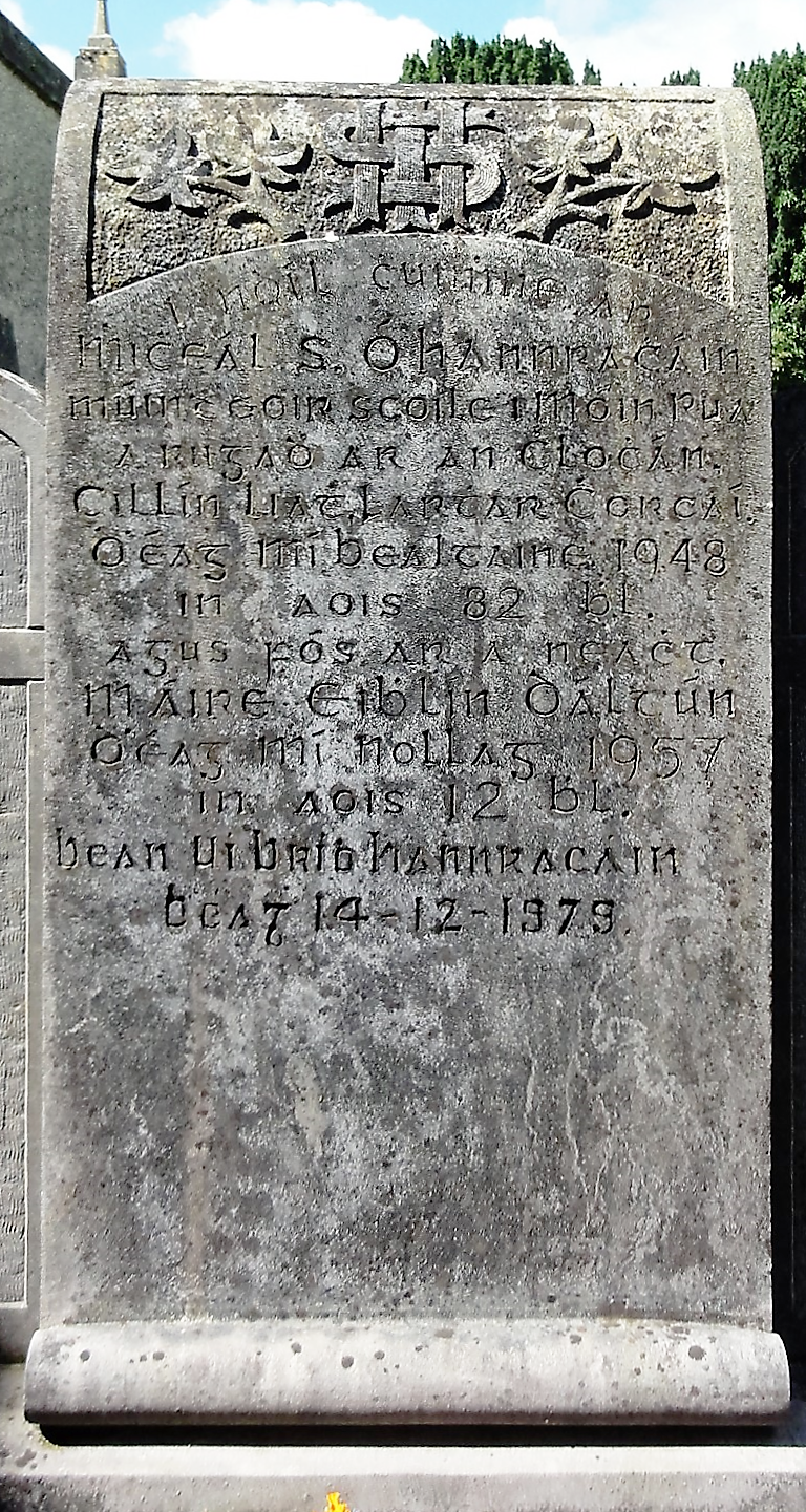 Kilkenny Graveyards: Hugginstown Graveyard (old), Parish of Hugginstown ...