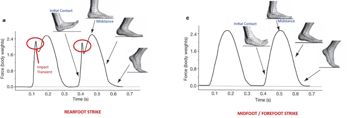 🤲 Click Physiotherapy: BAREFOOT VS RUNNING SHOES: BIOMECHANICAL ANALYSIS