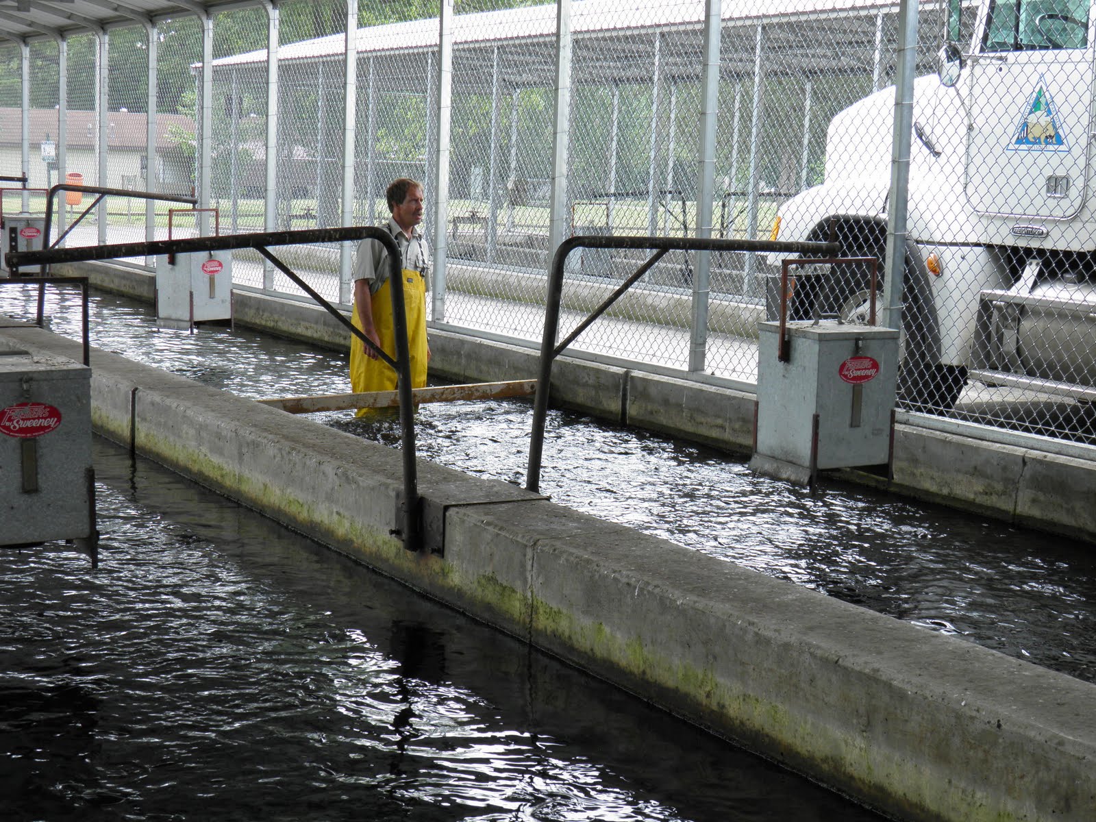 Life As We Know It!: Fish Hatchery, Neosho, MO fashion.