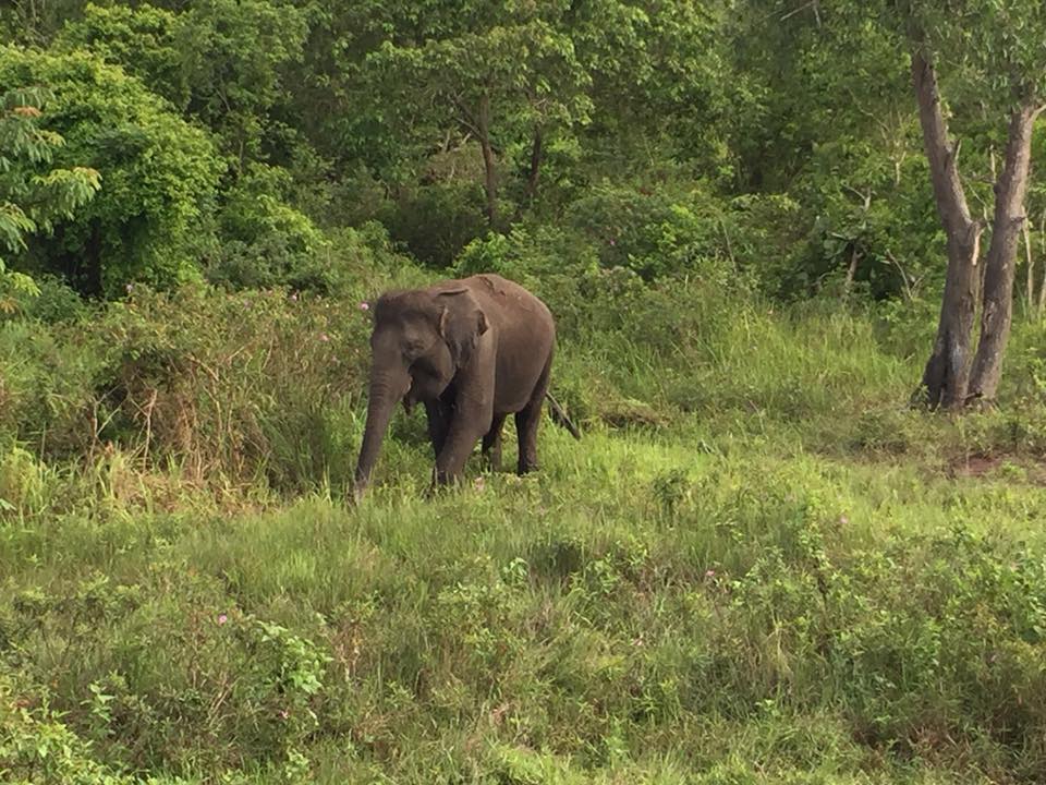 MENGENAL MARGAHAYU - DESA WISATA POTENSIAL DI LAMPUNG TIMUR ~ DUNIAINDRA