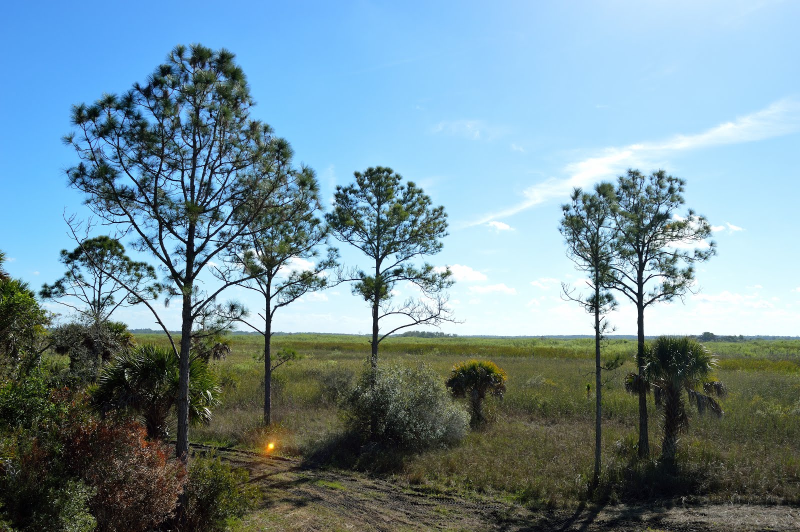 No Bad Days RVing: CREW Marsh Trail