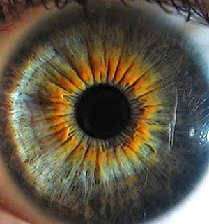 El Magazin de Merlo: El VERANO ya esta aquí, “Ojo con los ojos”