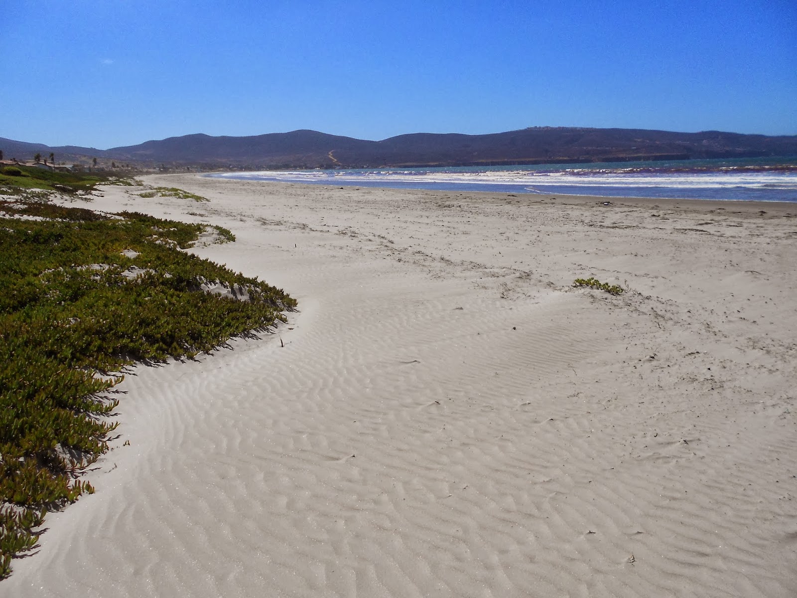 Living In Mexico: Punta Banda