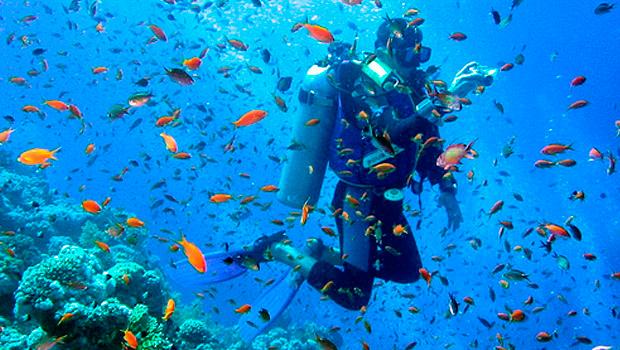 Paquetes de Buceo en las islas Galápagos tours