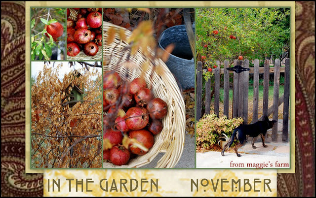 Notes from Maggie's Farm: In the Garden | November Monthly guide for ...