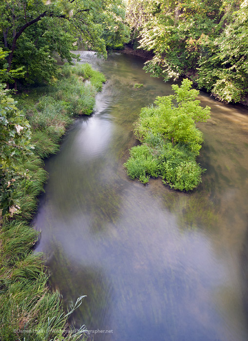 The Clear Fork in the the Forest