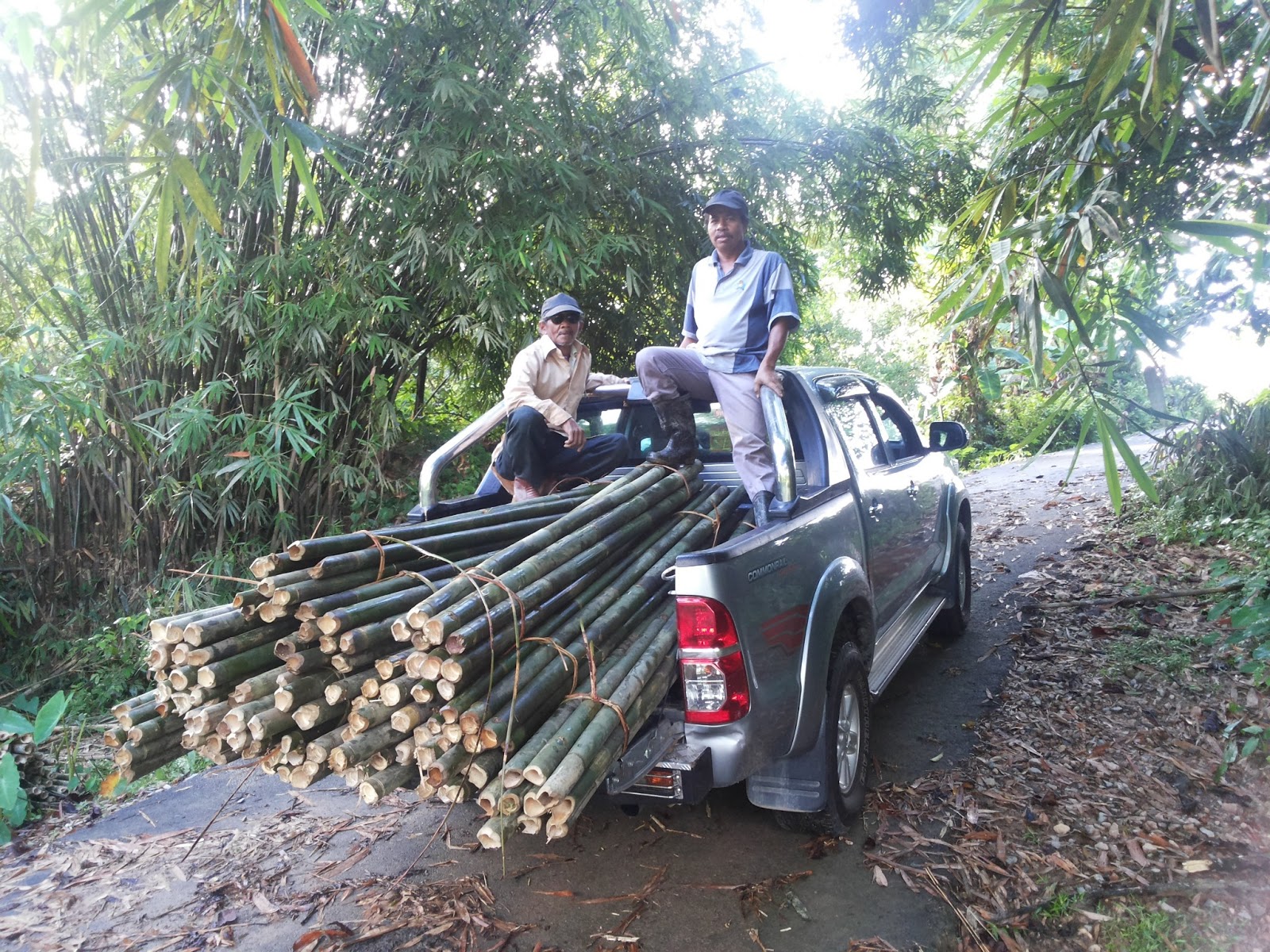 OBO: Projek Tanaman Timun Fertigasi Terbuka Di SMK Kuala Jengal, Dungun ...