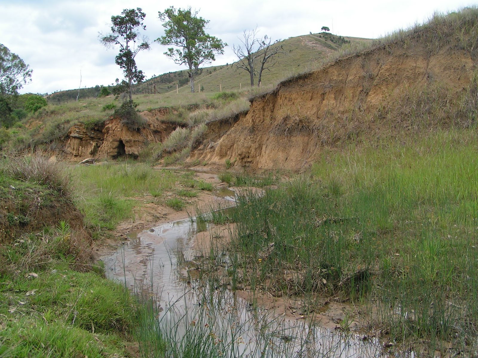 Stream and River Restoration: Gully erosion