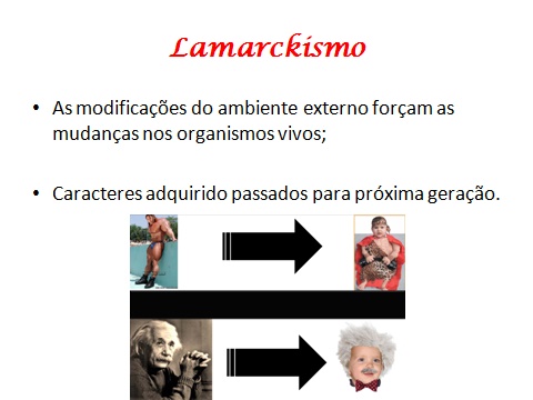 E.E.Profa. Castinauta de Barros Mello e Albuquerque - Onde a internet ...