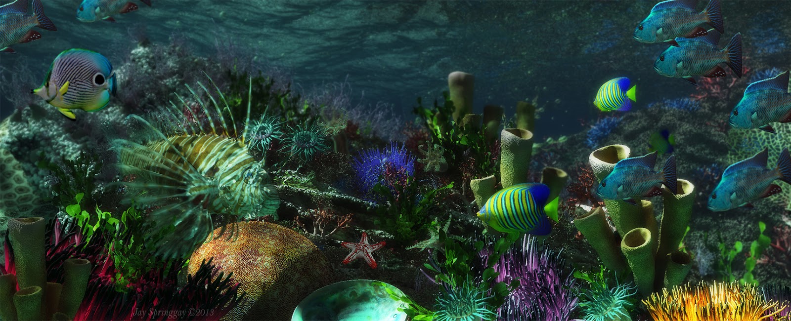 Jay Springgay: Underwater Marine Scenes - Vue