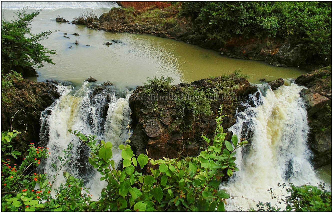 The Voice of Greenery - Trekking and Travelling in Western Ghats ...