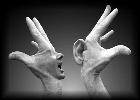 Olas de conciencia: ¿Por Qué La Gente Grita?