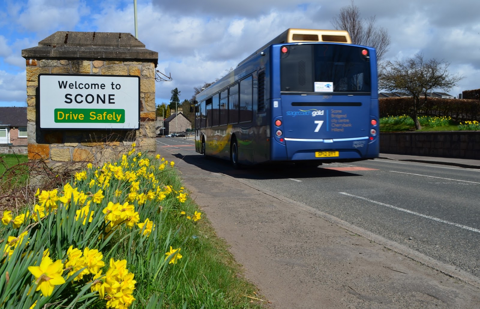 Tour Scotland: Tour Scotland Photographs Video Daffodils Scone Village ...