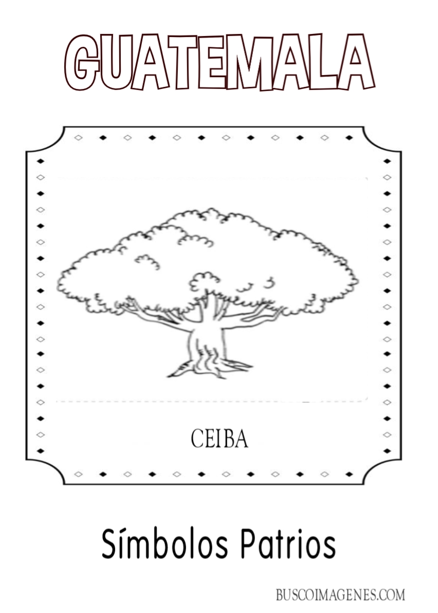 Imagenes de la ceiba para dibujar - Imagui
