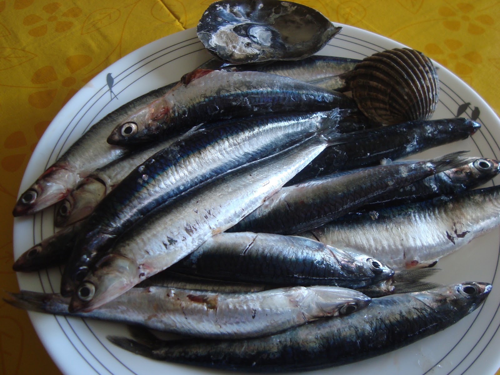 Blog de recetas de cocina caseras: LAS ANCHOAS en primavera