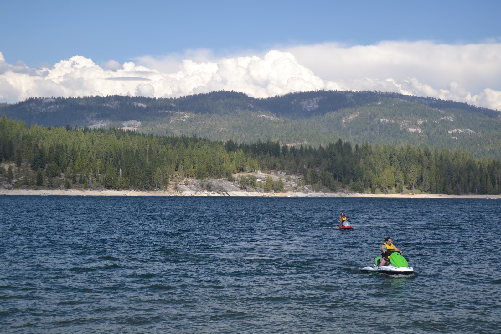 From Foothills to Fog: Shaver Lake