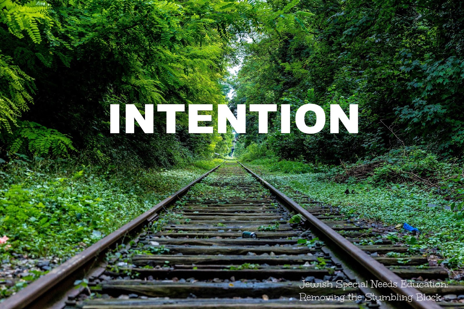 Removing the Stumbling Block: Inclusion Is Never An Accident