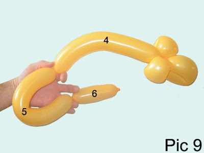CLASSICAL: Balloon duck. Balloon goose. Balloon ostrich