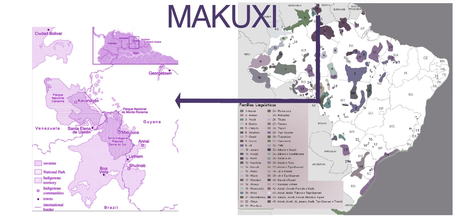 Povos Indígenas Brasileiros: Makuxi