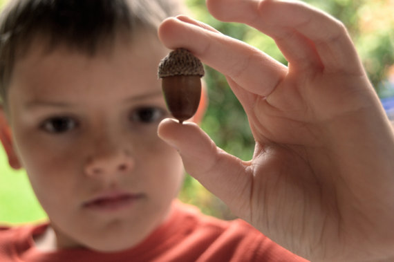 Toad's Treasures Lifestyle Family Blog by Emily Ashby: 2015