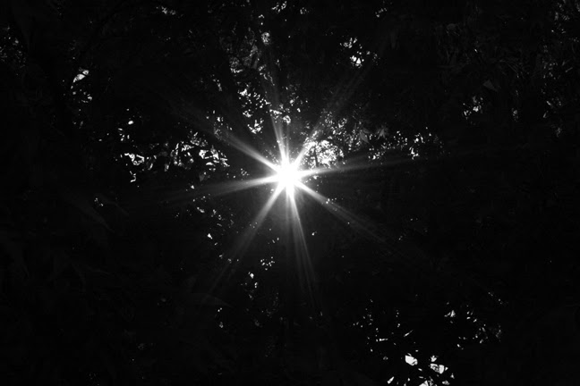 terry & liz's house: Scintillate, Scintillate Globule Vivific