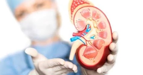 How To Dissolve Kidney Stones Naturally Without Surgery - HEALTH and ...