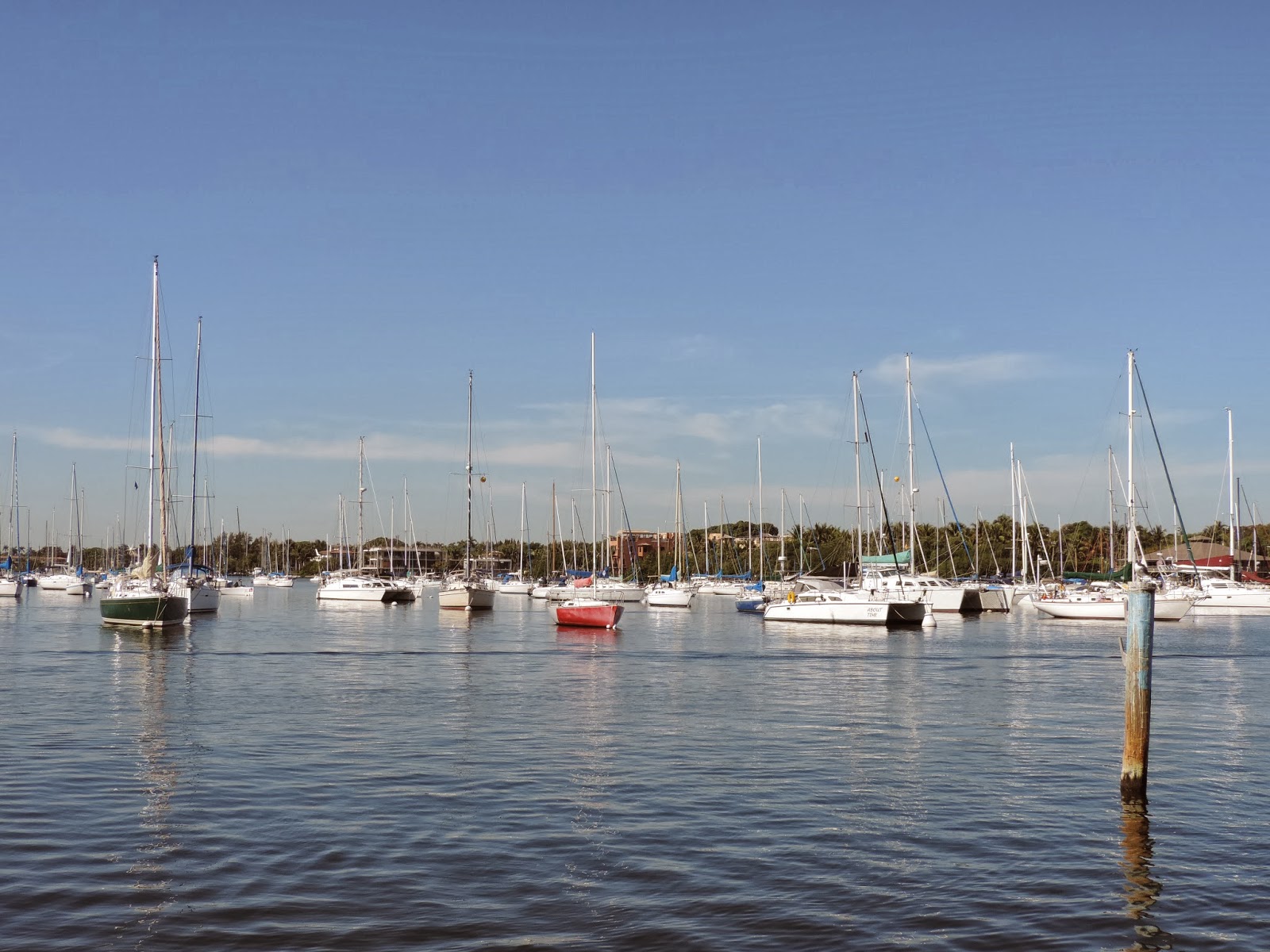 Photographic Allsorts: Dinner Key Marina Miami