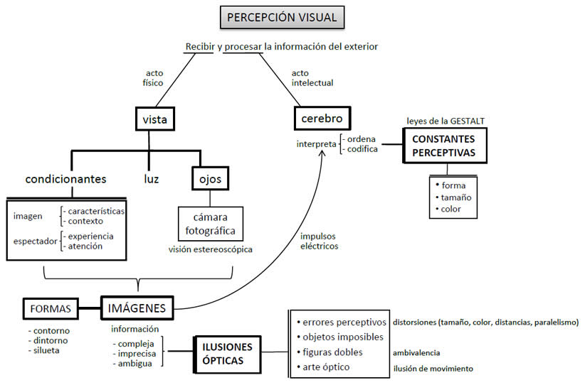Hablando de arte y de DIBUJO: Percepción visual: esquema