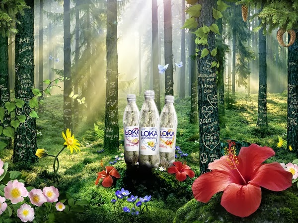 Foto Anna Jarméus: Reklamanalys