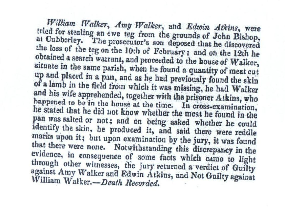 Finding Charlie Ross: Edward and Elizabeth were amongst South Australia ...