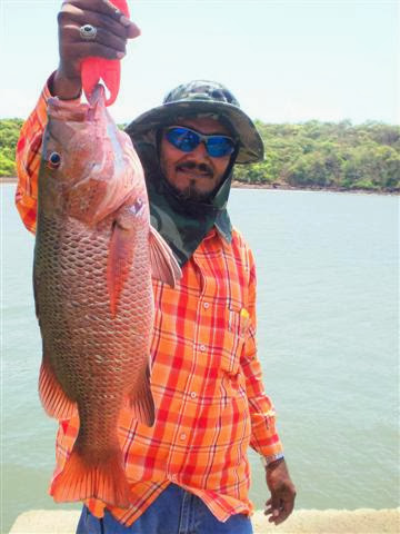 lets go fishing: Lets Go Fishing