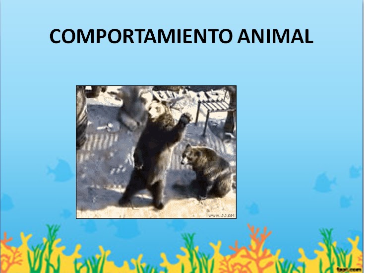 Con Ciencia para la Vida: COMPORTAMIENTO ANIMAL....FIORELLA