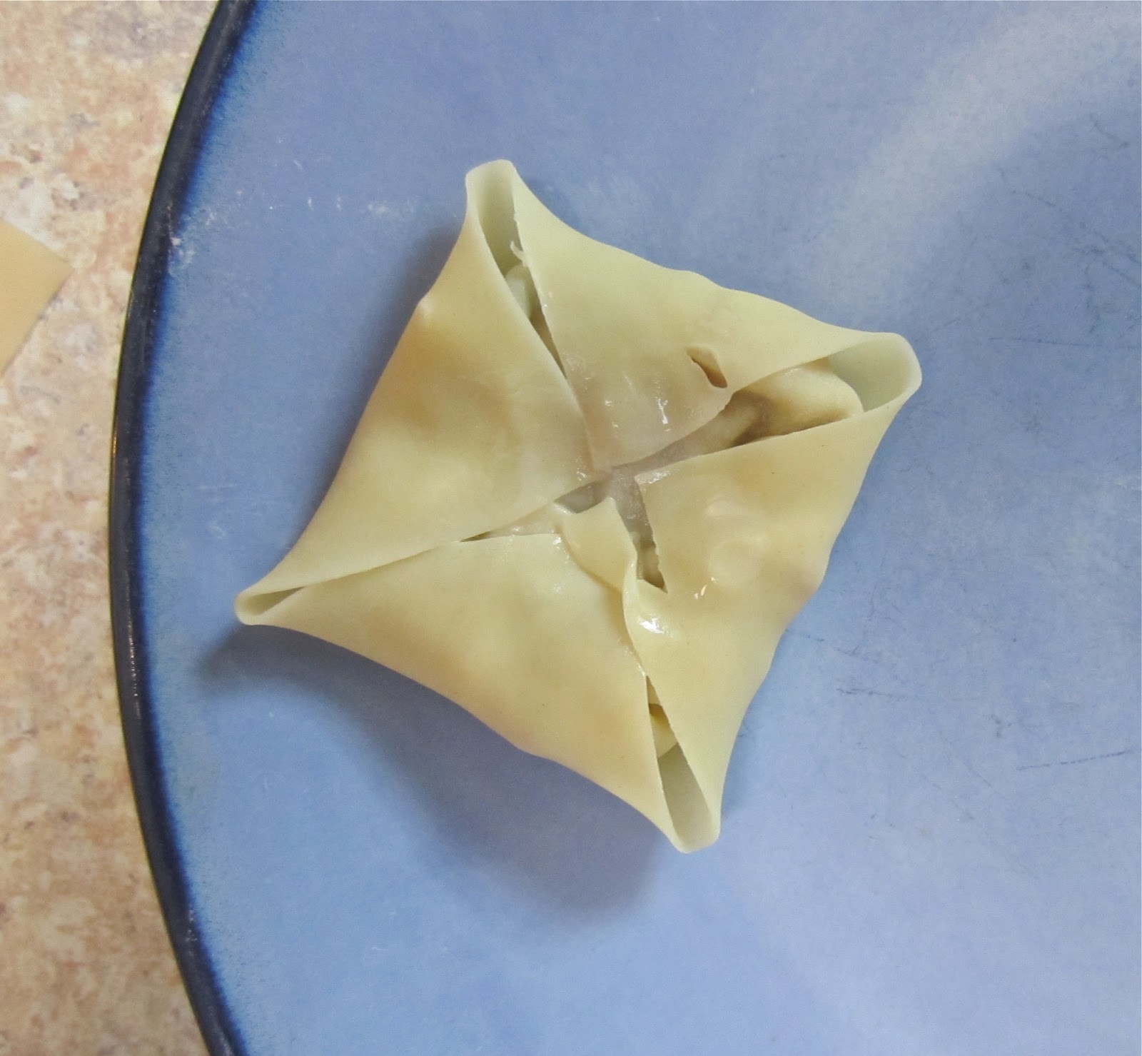 Little Mommy, Big Appetite: Baked Chicken and Vegetable Wontons