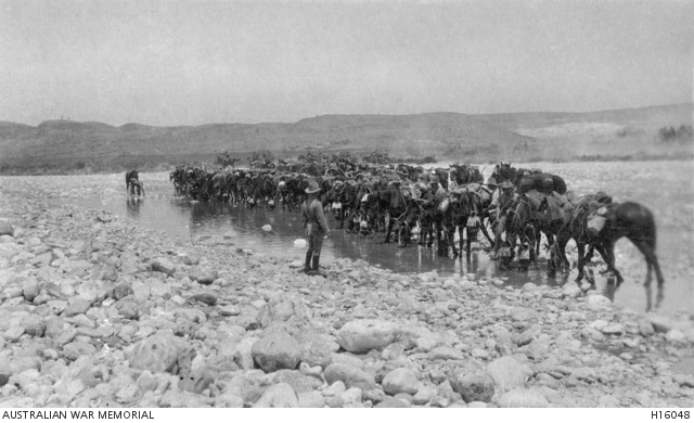 The Man Cave: The Centenary of the Battle of Beersheba