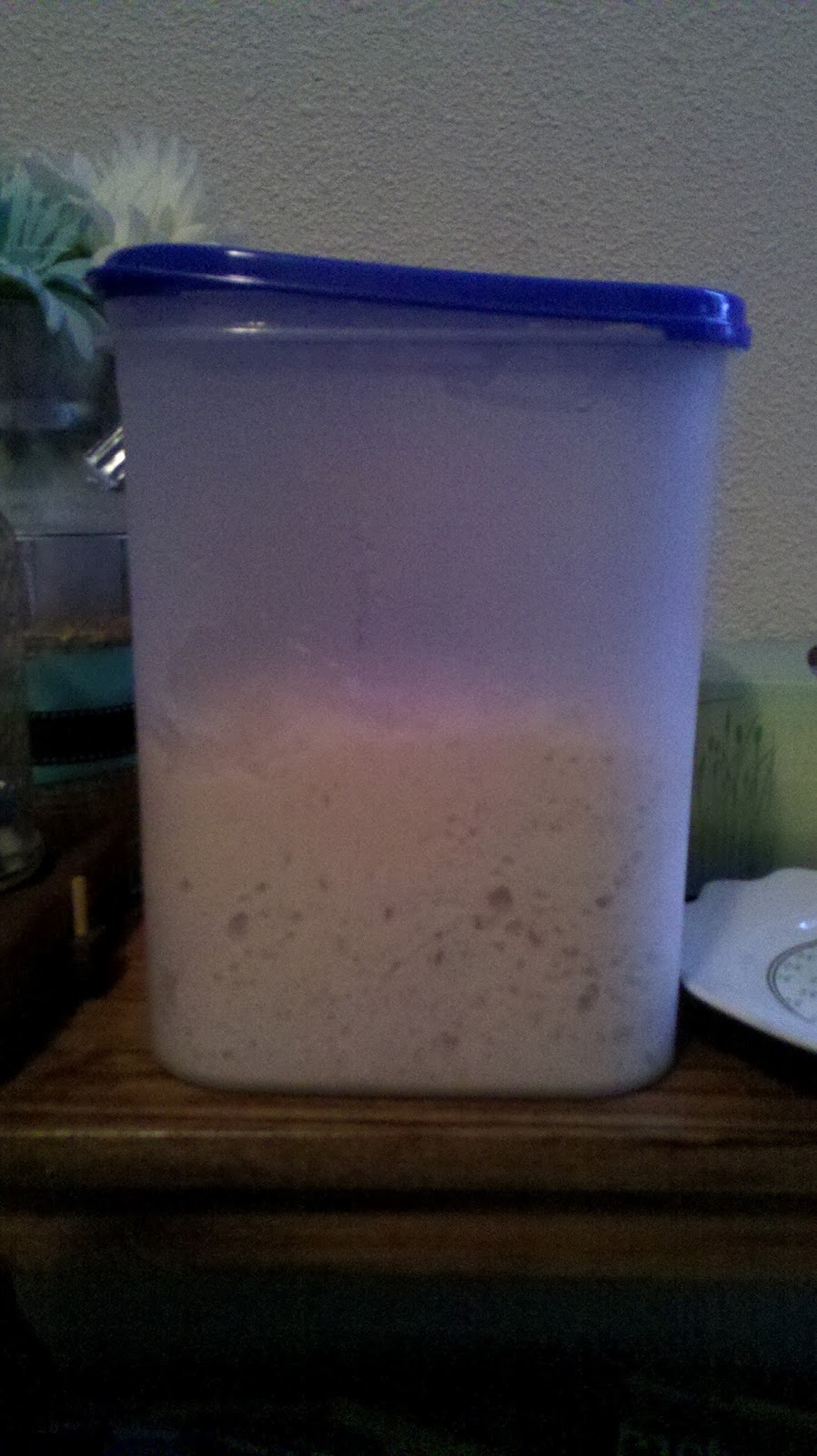 A Country Girl Can Survive: Super easy "Fancy" bread!