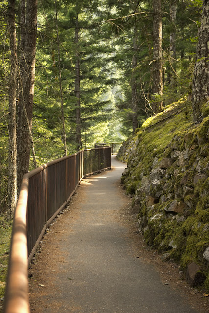 Loving Washington State: Sterling Munro Trail