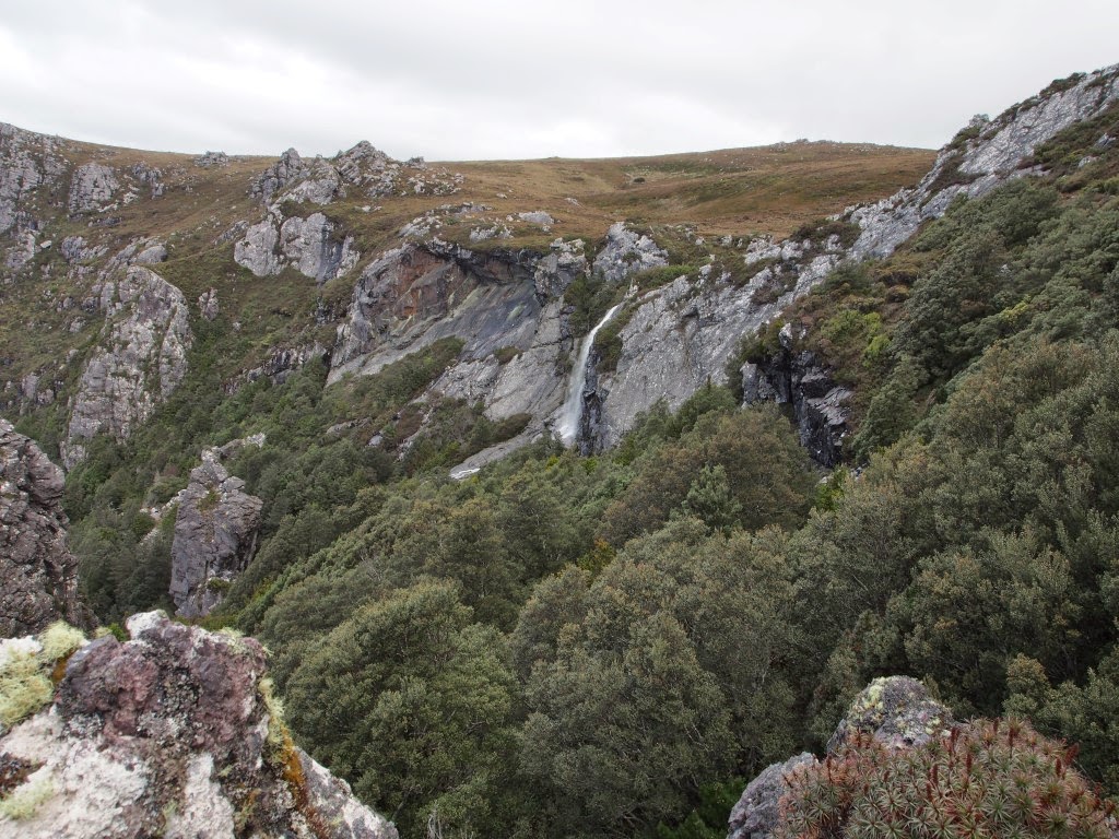 Thirty-Four Tetras: Winterbrook Falls and Black Bluff