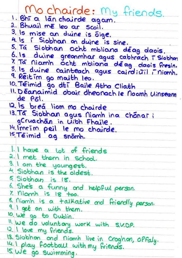 Study Notes By Kaz: Irish Vocab & Paper 1: OL